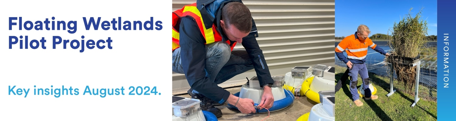 Key insights Floating Wetlands Pilot Project - Westernport Water